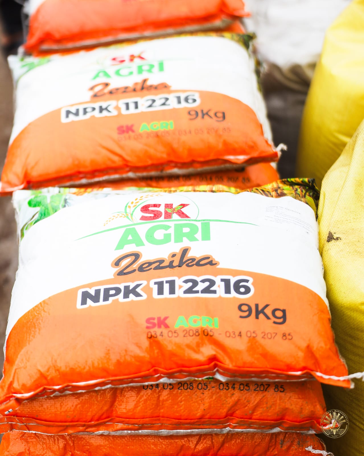 Lancement de la distribution des semences riz hybride et des intrants ...